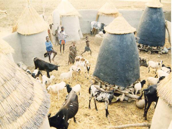 Houses | The Frafra and their colours